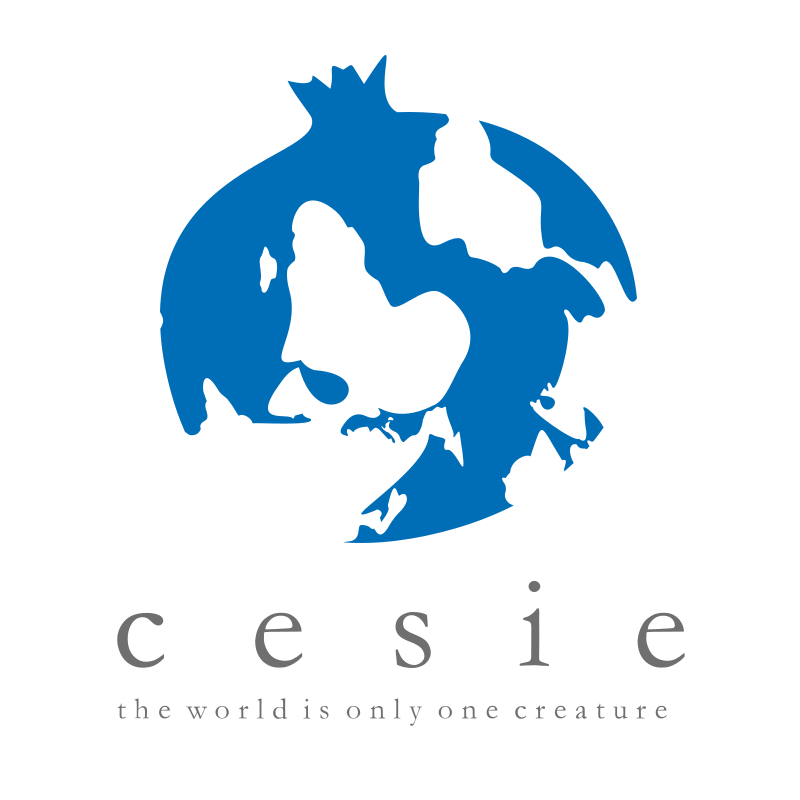 StartUp: valuable digital contents to improve your business - CESIE